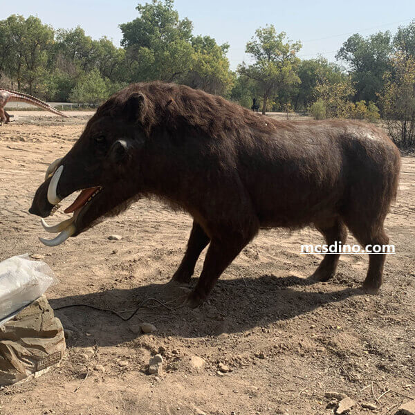 Metridiochoerus Animatronic Giant Warthog-AFM007