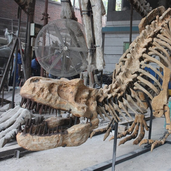 Fossil Replica – mcsdino