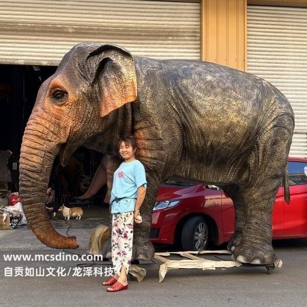 Animatronic Asian Elephant Model-MAA002
