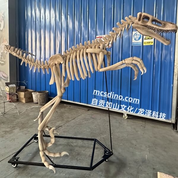 Dinosaur Skeleton Props Especially For Show-SKR042