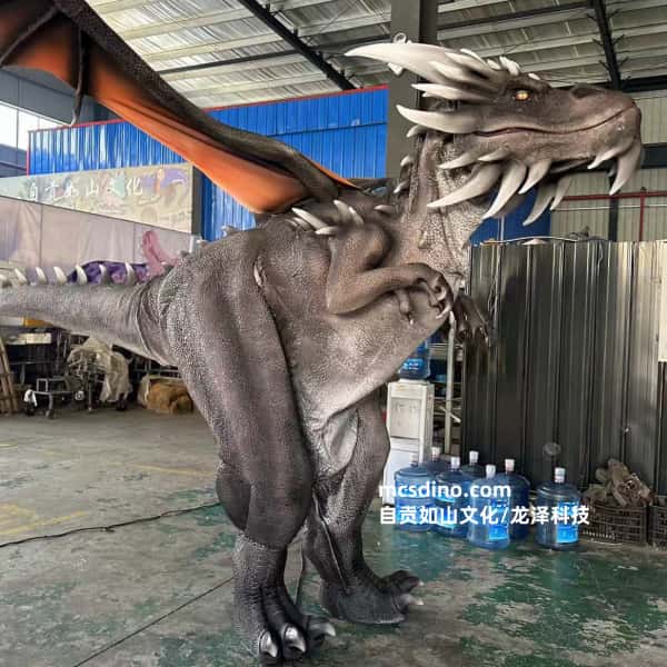 Black Dragon Suit Glowing Costume-DCDR015 – mcsdino