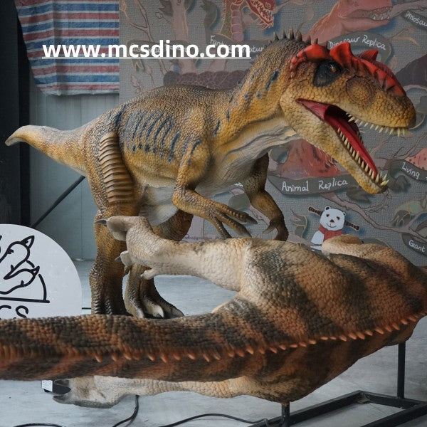 Allosaurus Vs Ceratosaurus Animatronic Dinosaurs-MCSA006B