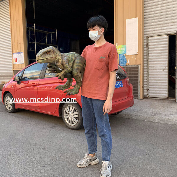 Baby Raptor Hand Puppet-BB035