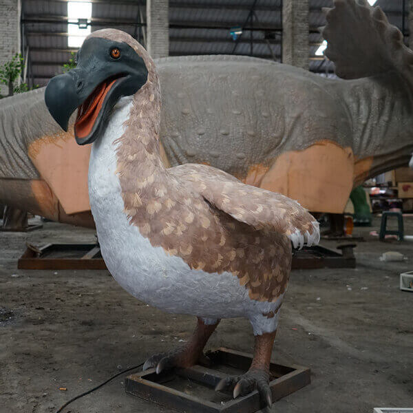 Lifelike DoDo Bird Animatronic-AFD003B – mcsdino