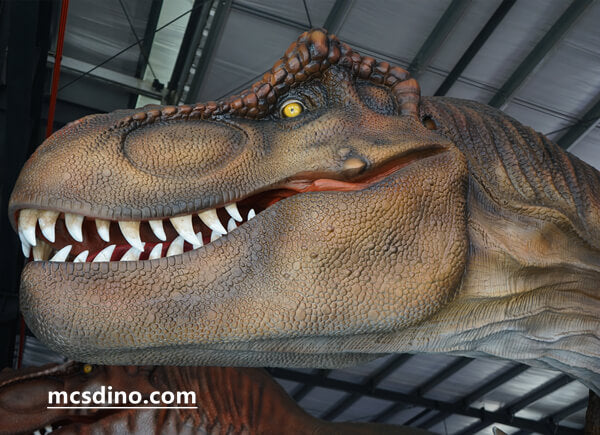 MCST002G-Sue Tyrannosaurus Rex Animatronic