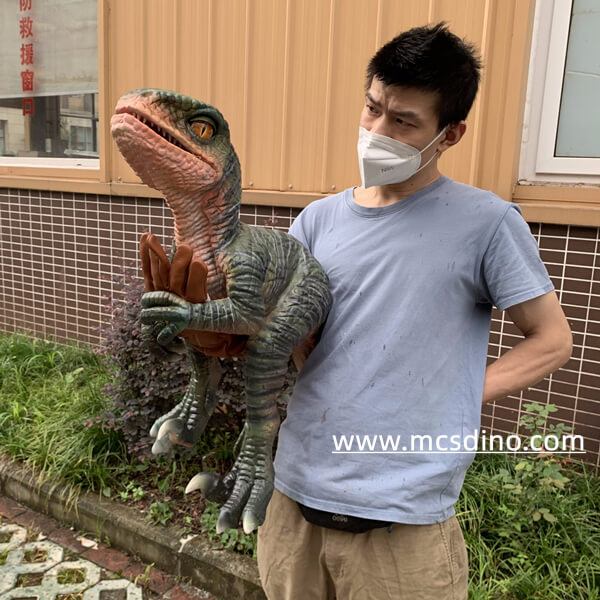 Raptor Puppet With A Convincing Hand illusion-BB089