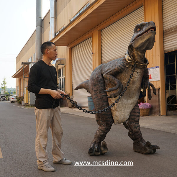 Extinct Raptor Back To Life Dinosaur Costume-DCRP731