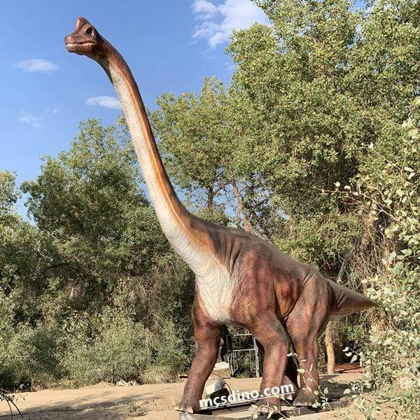 6m Tall Realistic Brachiosaurus Animatronic-MCSB004B