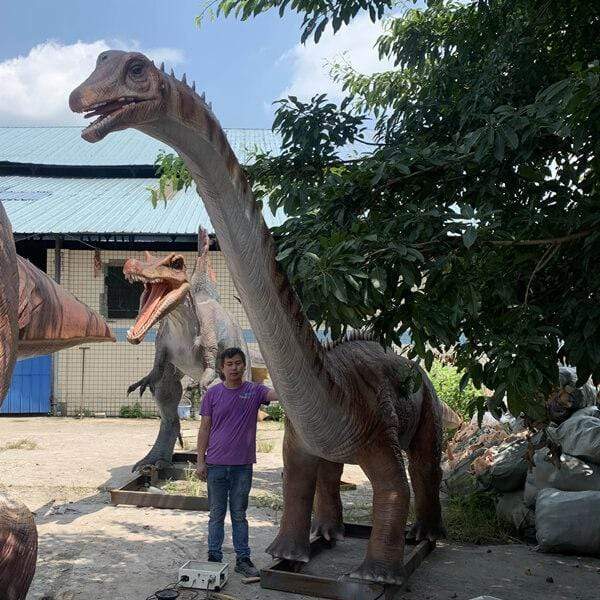 Diplodocus Model Animatronic Dinosaur Exhibition-MCSD006B
