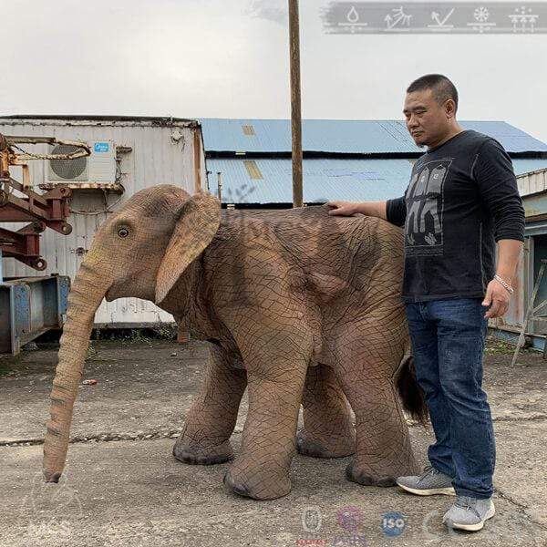 Baby Elephant Prop Halloween Costume-DCEP004