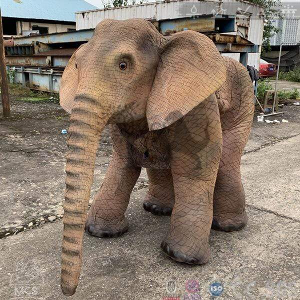 Baby Elephant Prop Halloween Costume-DCEP004