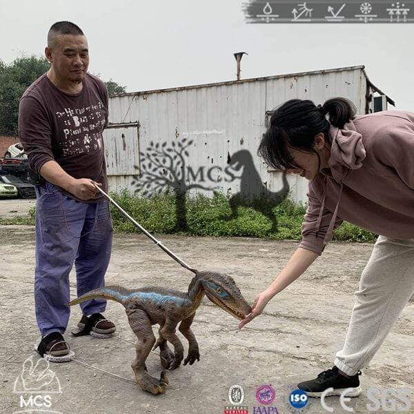 Rod Dinosaur Puppet Walking Raptor-BB060