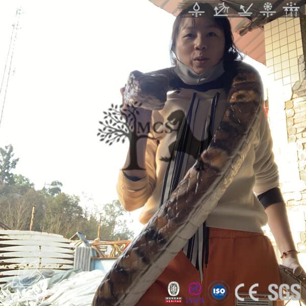 Snake Prop Jungle Party Decorations-BB034 – mcsdino