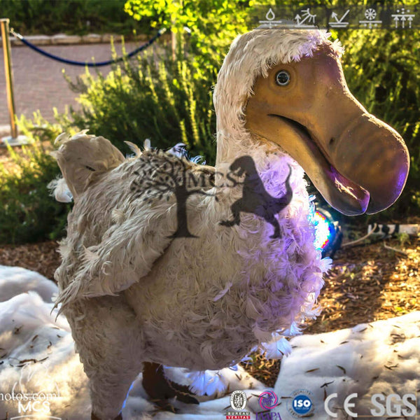 Extinct Flightless Bird DoDo Model-AFD005A