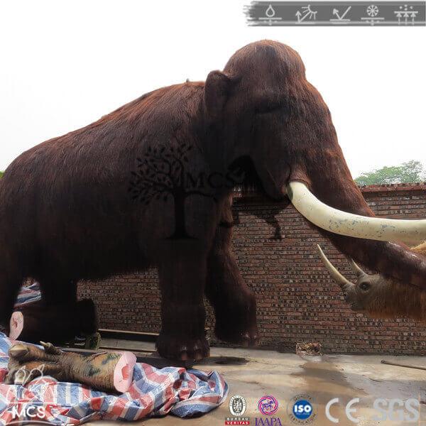 Museum Quality Woolly Mammoth Model For Sale-AFW001A – mcsdino