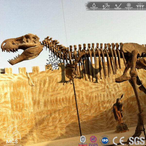 Dinosaur Rental T-Rex Replica Fossils Cast For Sale-SKR019
