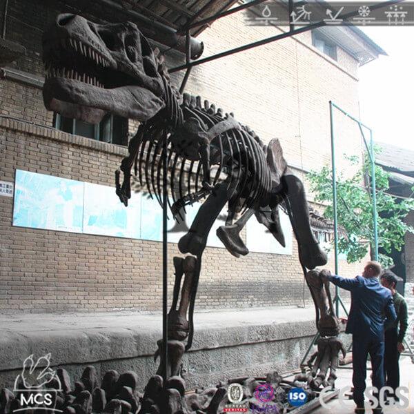 T-Rex Skeleton Cast Replica-SKR017 – mcsdino