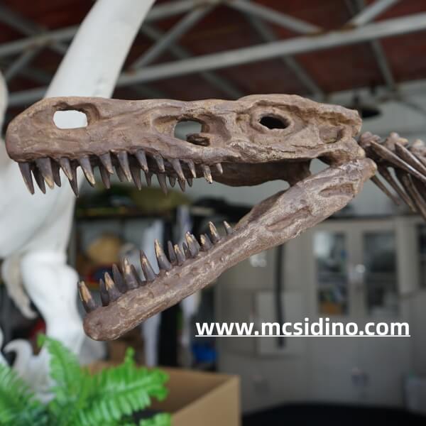 Mounted Deinonychus Skeleton Replica-SKR034